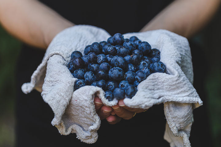 perfectly patriotic: blueberry lemon thyme ice cream!– The Gracious Gourmet
